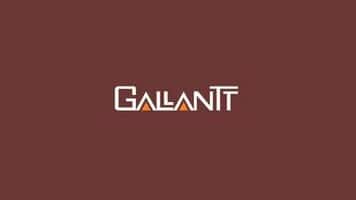 Gallantt Ispat posts stable Q3, net revenue at Rs 114 crore