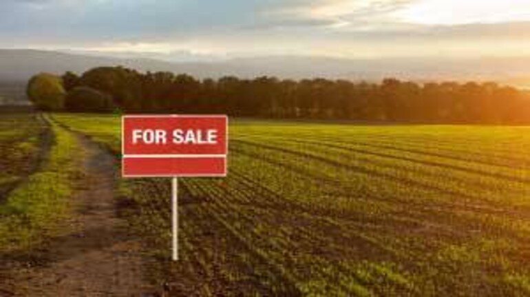 Investing in land: The pros and cons- Moneycontrol.com