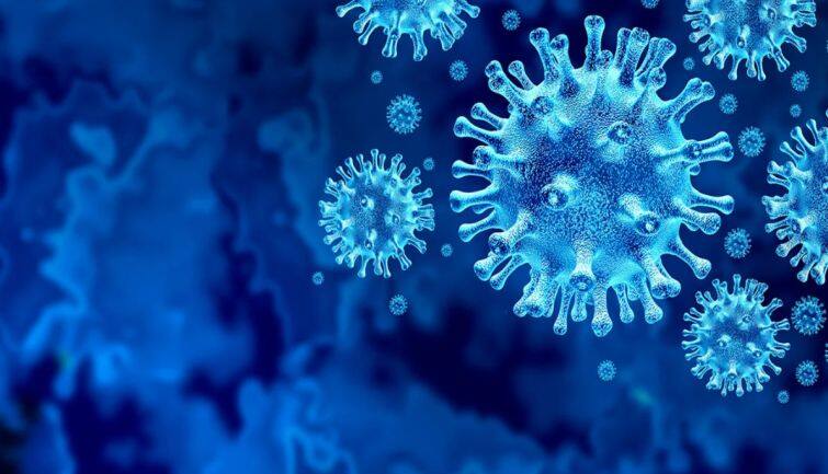 Covid-19 Updates: भारत में मिला ओमिक्रॉन वेरिएंट 'XXB.1.5' का पहला केस ...