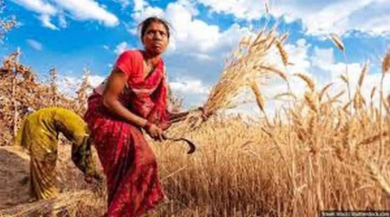 PM Kisan Samman Nidhi: इन किसानों को नहीं मिलेगा पीएम किसान का एक भी ...