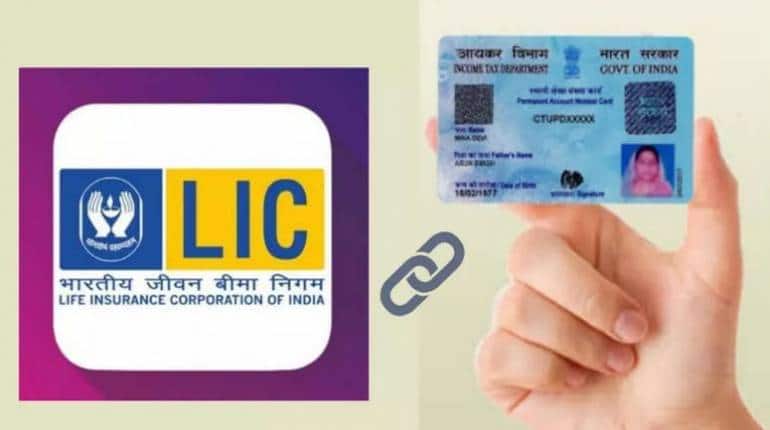 LIC पॉलिसी को पैन से 31 मार्च तक जरूर कर लें लिंक, वरना बाद में होगी ...