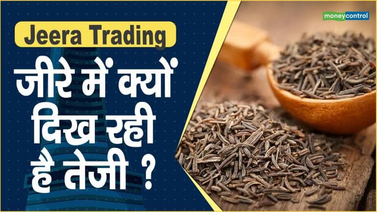 Jeera Trading Strategy | जीरे में दिखे फिर से तेजी, जानें इस पर क्या है ...
