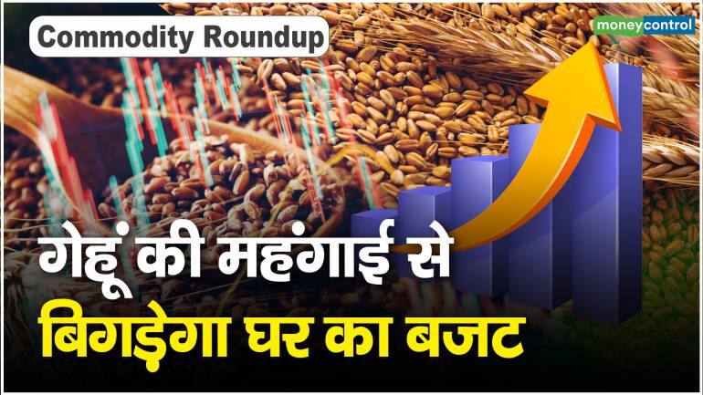 Commodity Roundup : गेहूं की महंगाई से बिगड़ेगा घर का बजट - Commodity Roundup wheat price hike ...