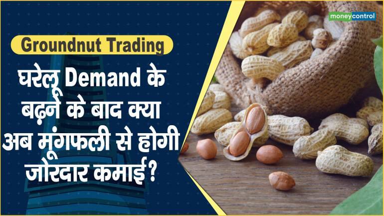 Groundnut Trading: घरेलू Demand के बढ़ने के बाद क्या अब मूंगफली से होगी ...