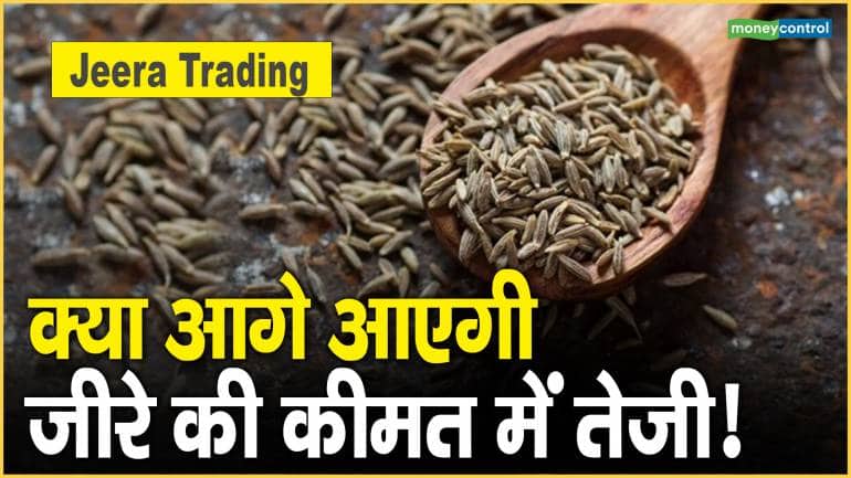 Jeera Trading Strategy: क्या आगे आएगी जीरे की कीमत में तेजी ...