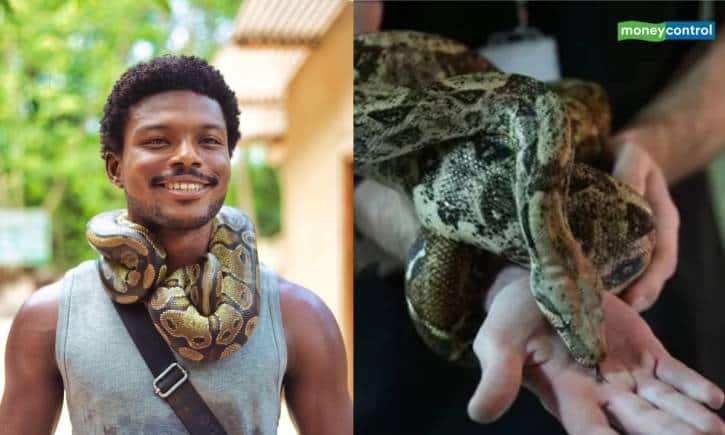 Reptile Therapy: सांप और अजगर की मदद से दूर की जा रही है बीमारियां ...