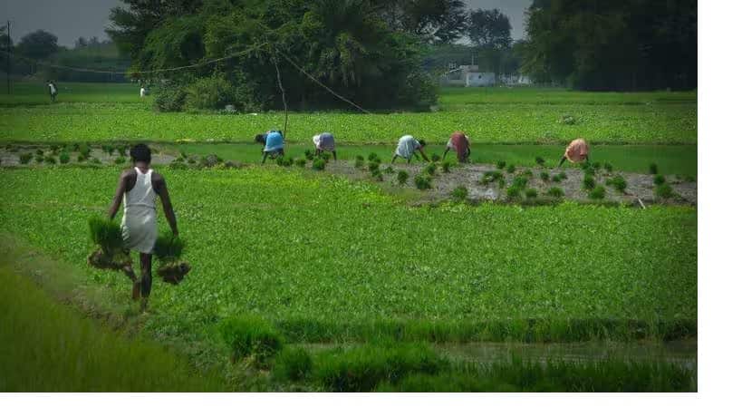 Sharda Cropchem: Is Now the Right Time to Invest in Its Shares for Big ...