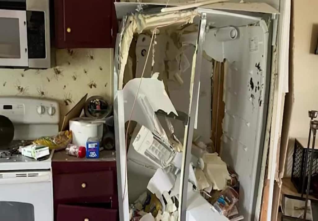 Refrigerator Explodes: રેફ્રિજરેટર વિસ્ફોટથી 6 લોકોના મોત, જાણો કેમ ...