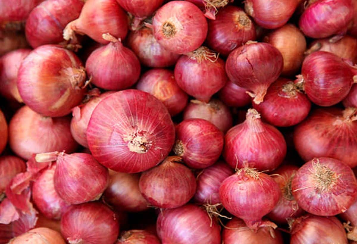 Onion Price: ડુંગળીના ભાવ પહોંચ્યા આસમાને, કિંમત 5 વર્ષના હાઈ પર, જાણો ...