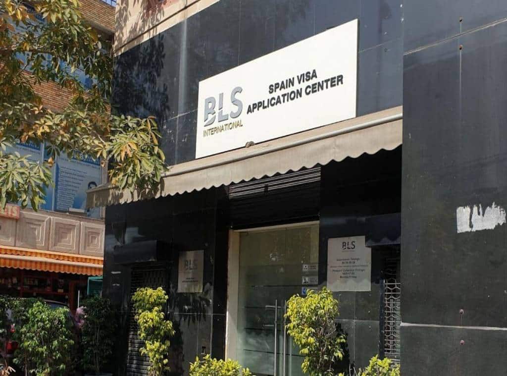 BLS E-Services IPO: પ્રી-આઈપીઓ પ્લેસમેન્ટના હેઠળ 17 રોકાણકારે 11 લાખ ...