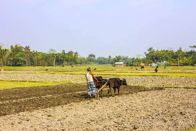 Government eases credit norms for small and marginal farmers