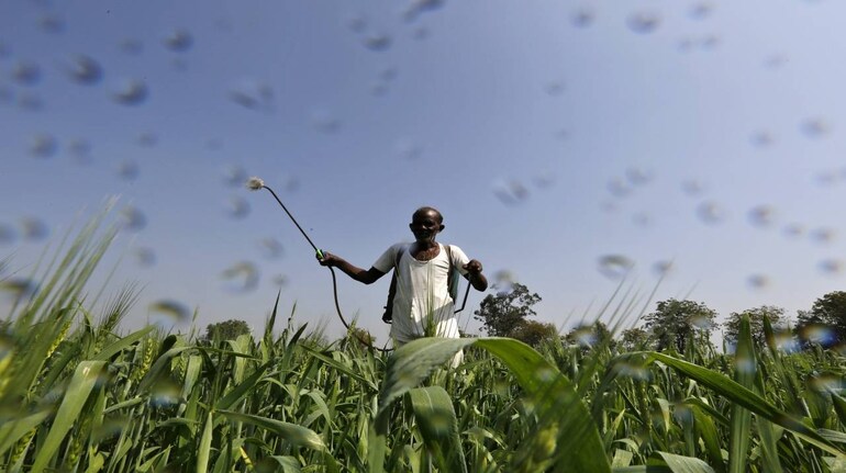 Deepak Fertilisers to set up brownfield IPA plant at Taloja