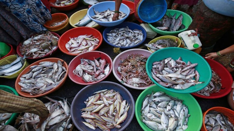 Kolkata port seeks to increase business with Odisha seafood exporters