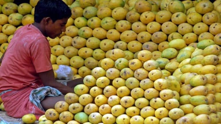 Innova Agri gets OZ govt nod to export 300 tonnes of mangoes