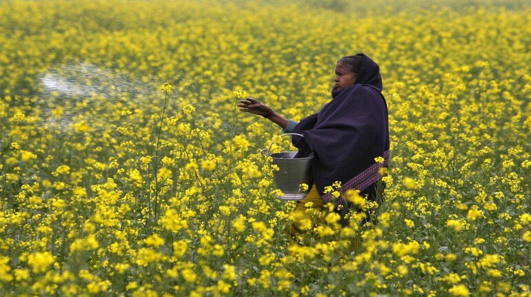 India gets fertiliser cost relief as NFL receives urea bids below $450 ...
