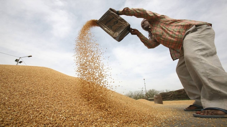 India set to export record 7 million tonnes wheat this year