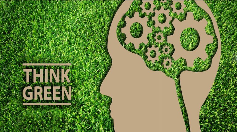 Green and growing: Arrow Greentech