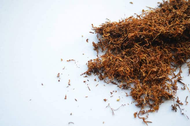Gutka worth Rs 10.16 lakh seized in Thane; 1 held- Moneycontrol.com