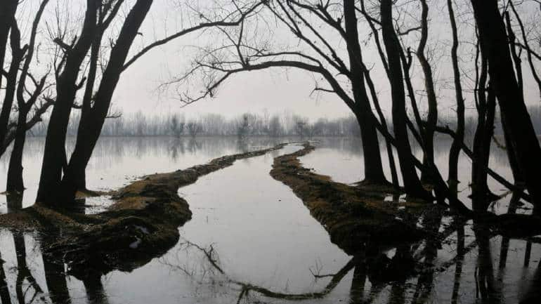 Two more wetlands in India added to list of recognised sites under ...