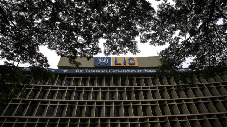 Top 11 small & midcap stocks in LIC portfolio which have given ...