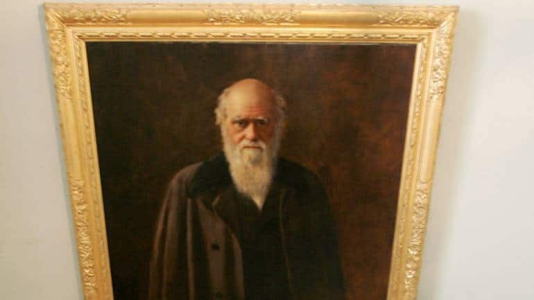 London's Natural History Museum to stage Charles Darwin puppet show