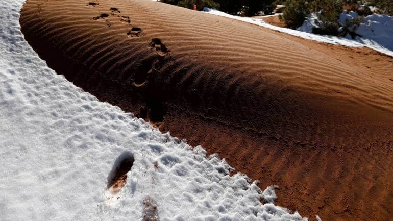 Snow falls in Sahara desert for third time in 40 years - here are some ...
