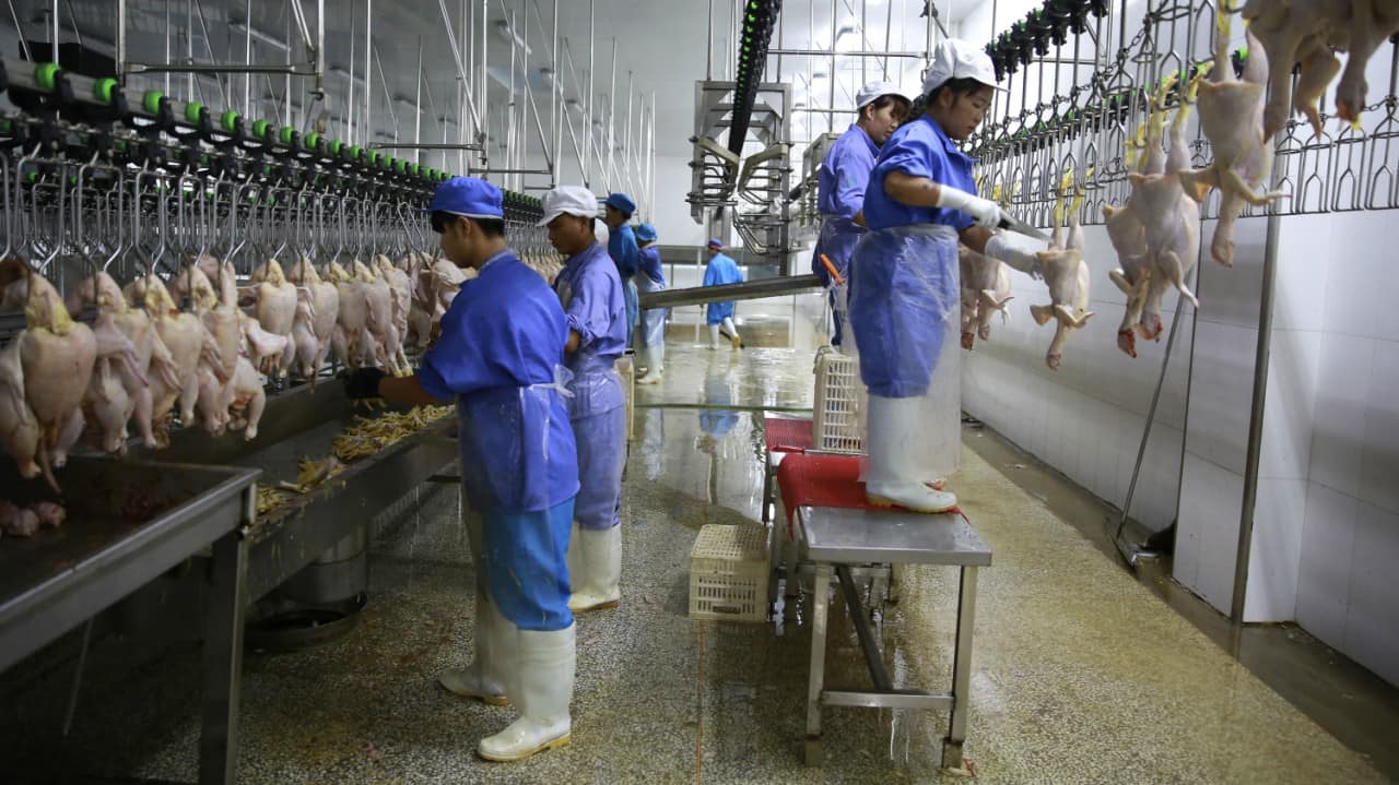 China’s mega food factories: How the world’s most populous country ...