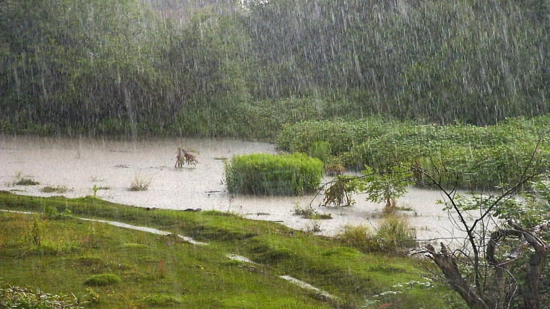 Good rains in parts of Maha; water in key dam crosses 75% mark ...