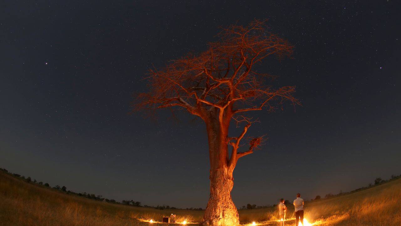 News in Pics: Your daily dose of pictures from around the world