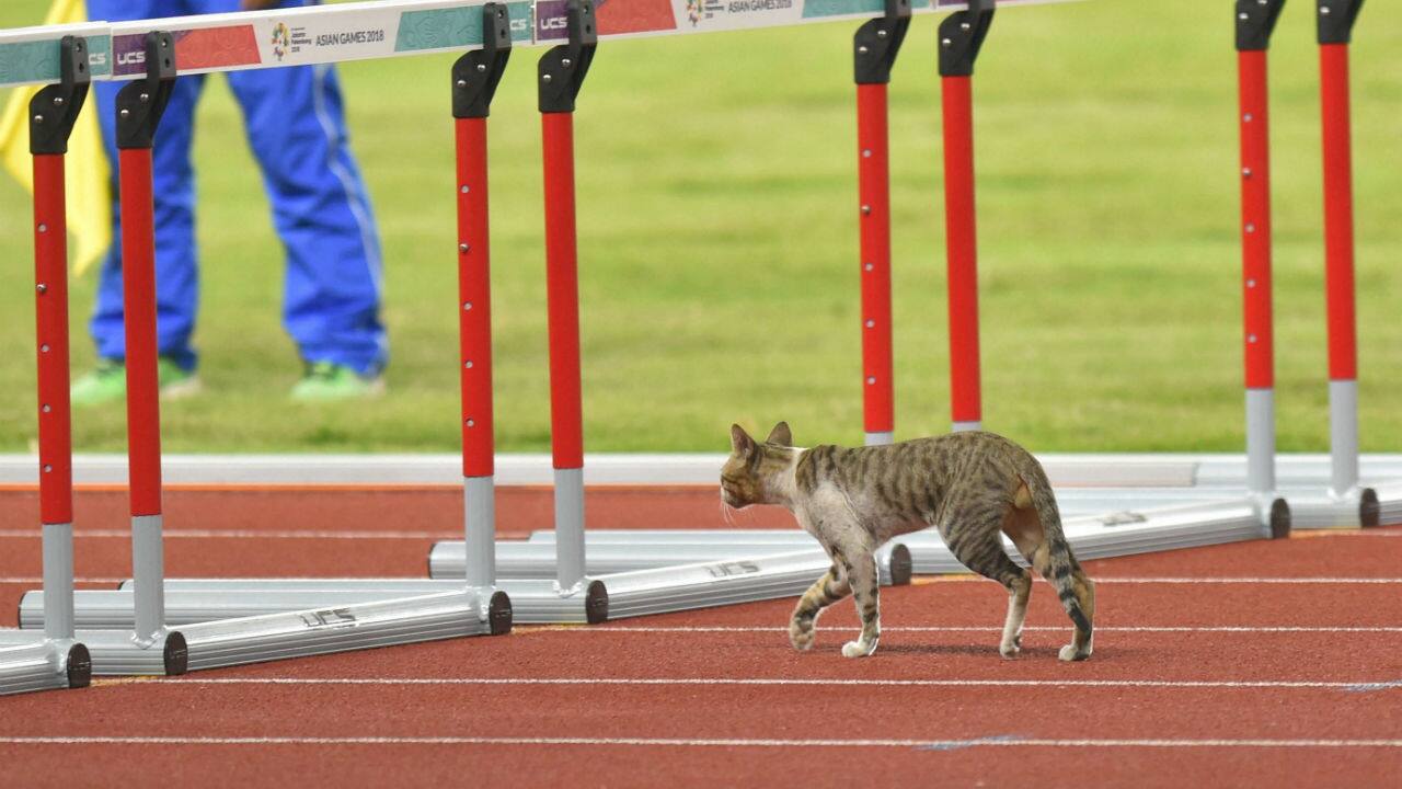 News in Pics: Your daily dose of pictures from around the world ...