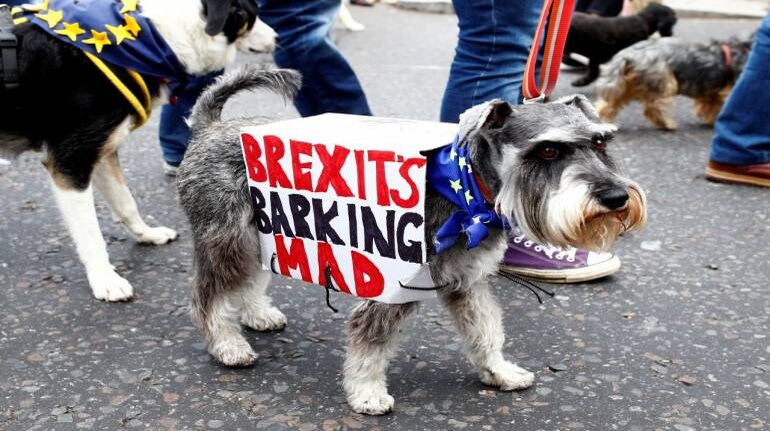 Hundreds of dogs hound May for 'Wooferendum' on Brexit