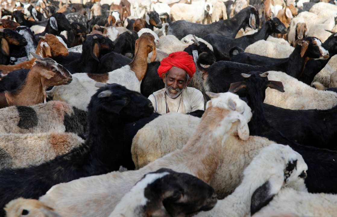 In Pics | Let's take a look at the diverse electorate of Rajasthan ...
