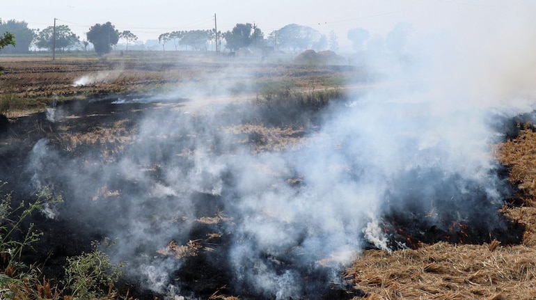 NASA images show early stubble burning in Punjab