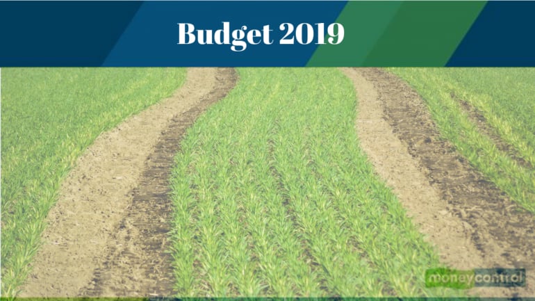 Budget Snapshots | Agriculture will be the flavour of the season