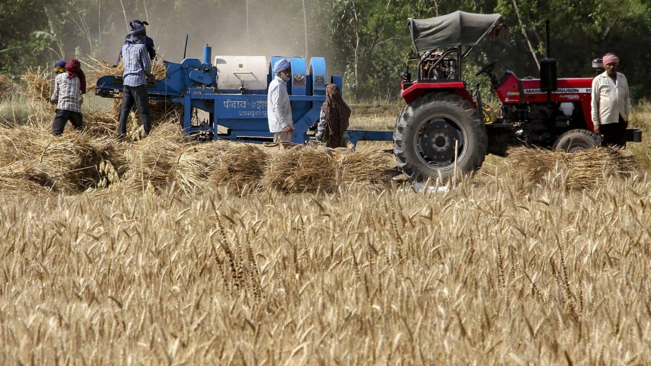 DD Kisan to launch AI anchors Krish and Bhoomi on May 26