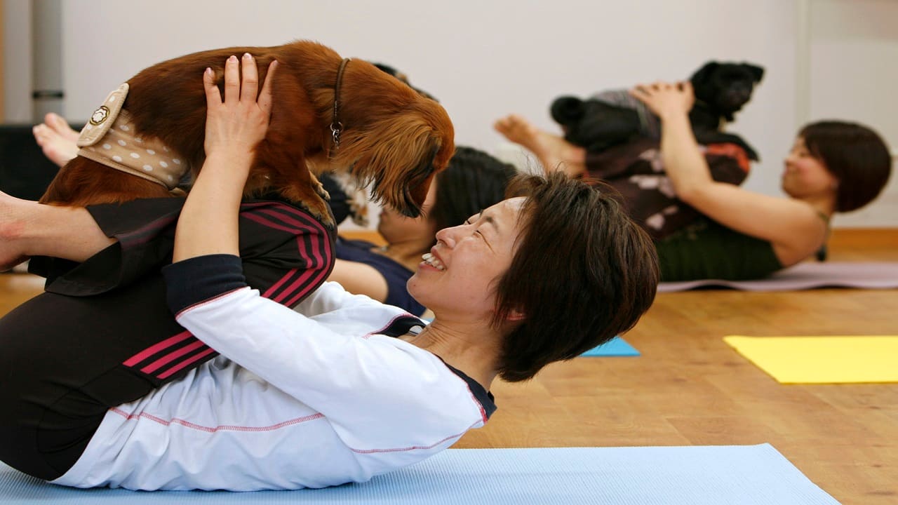 In Pics: These unusual yoga variations will blow your mind