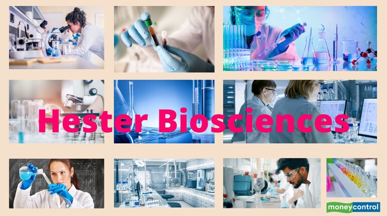 Hester Biosciences says on track to produce Covaxin drug substance by ...