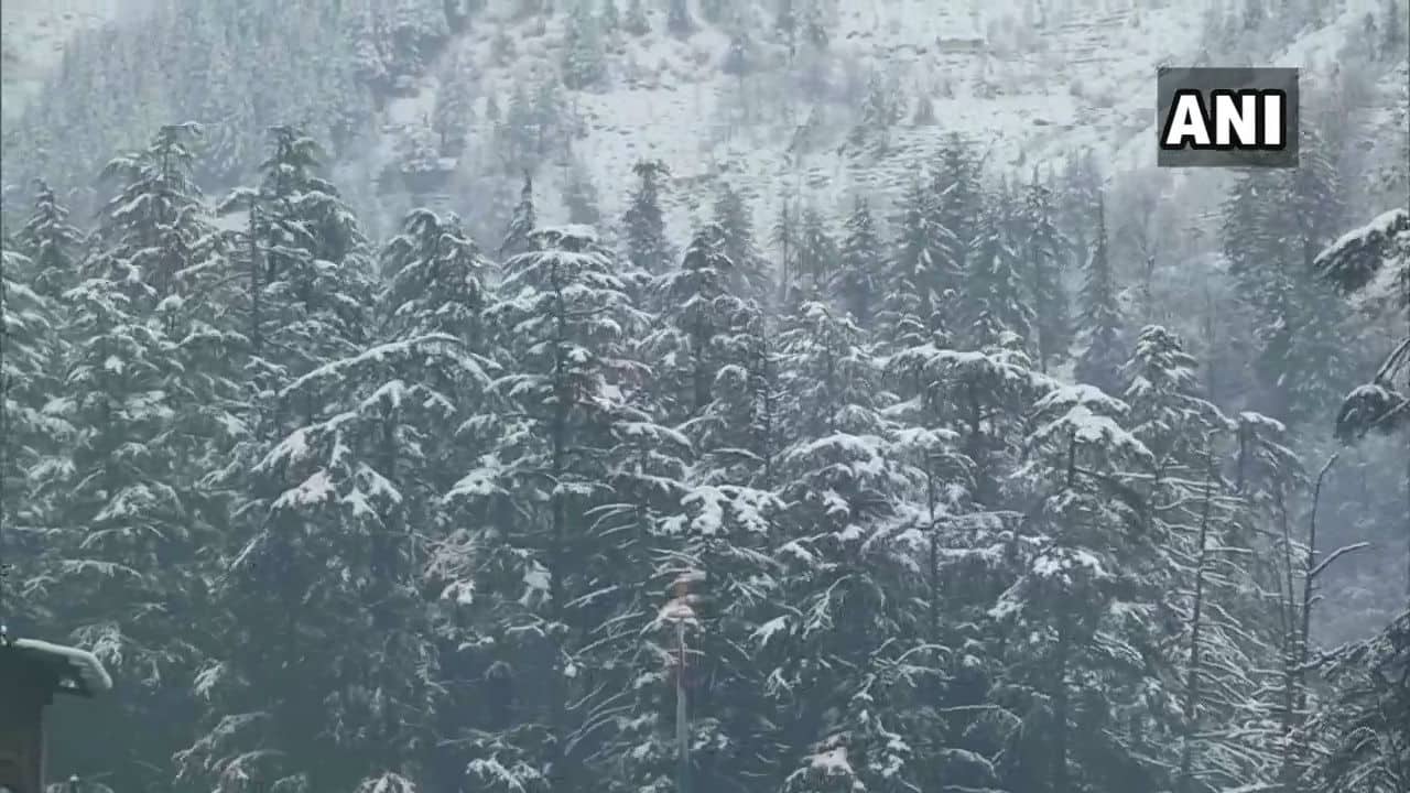Stunning photos of snowfall in North India: Check out these exotic ...