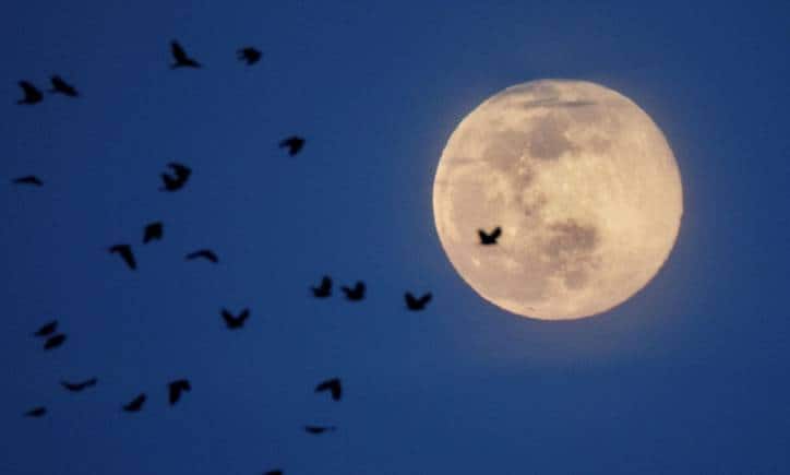 Super Flower Moon Heres How To Catch The Last Supermoon Of 2020