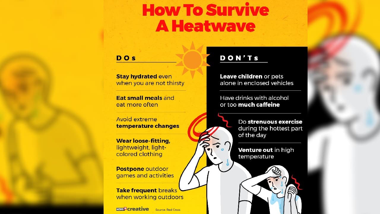 In pics | Heat waves sweeps across north India; here are tips to stay safe