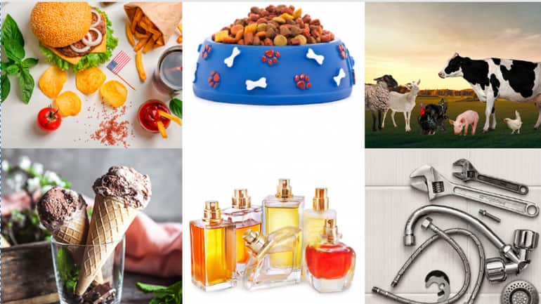 Camlin Fine Sciences share hits 10% upper circuit after board nod to Rs ...