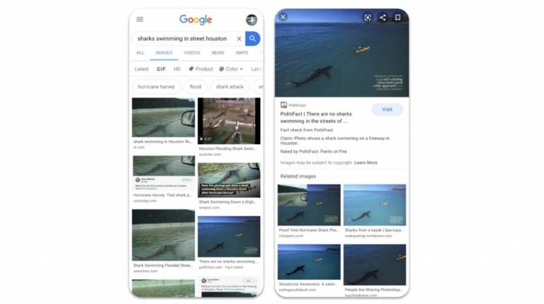 Google Images offer ‘Fact Check’ feature to help users spot phoney photos