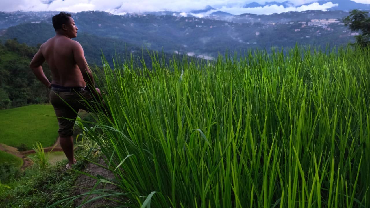 In pics | Horrors of war: Villagers of Kohima recall 'Stalingrad of the ...