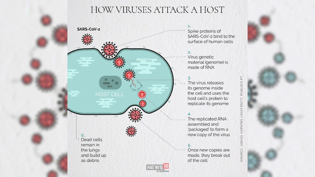 In pics | A look at how a mutating coronavirus is a bigger threat than ...