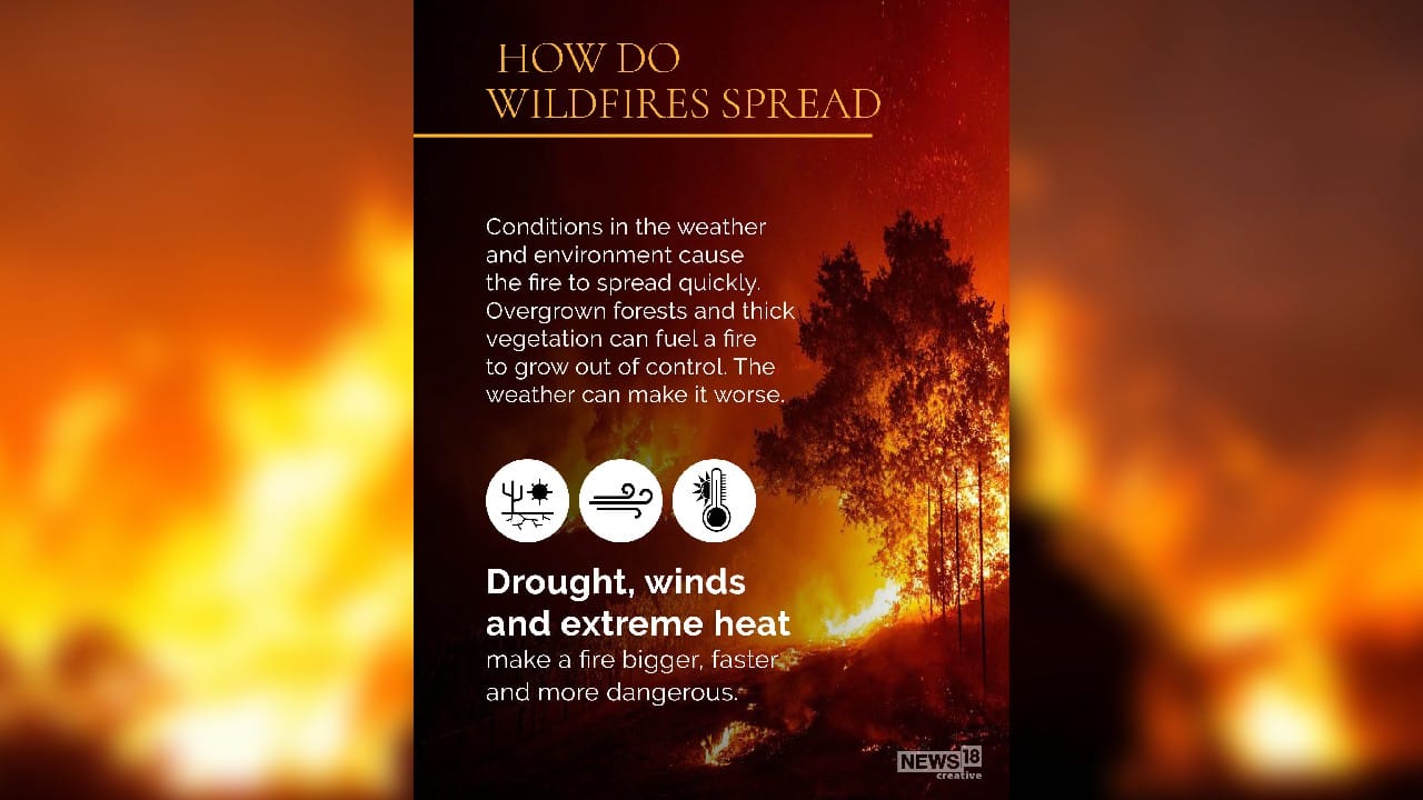 In pics | A look at why the California wildfires are a sign of climate ...