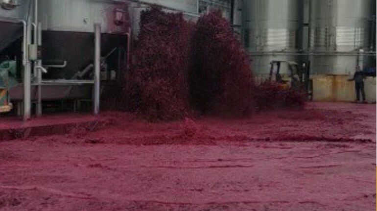 What a waste! Spanish winery flooded after 50,000 litres of red wine ...