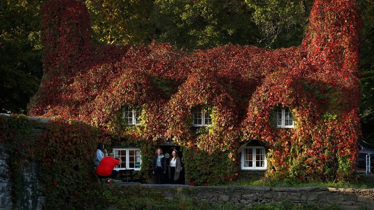 Autumn show: Spectacular fall colours from around the world ...