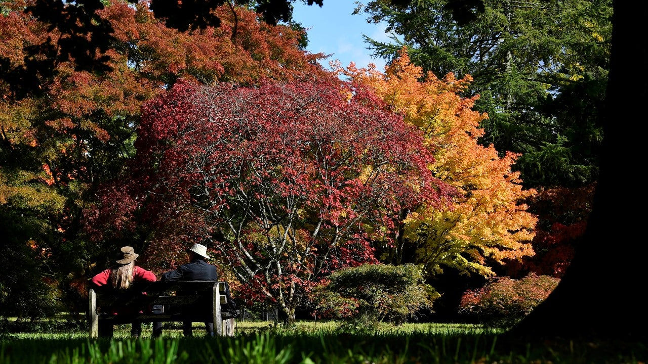 Autumn show: Spectacular fall colours from around the world ...
