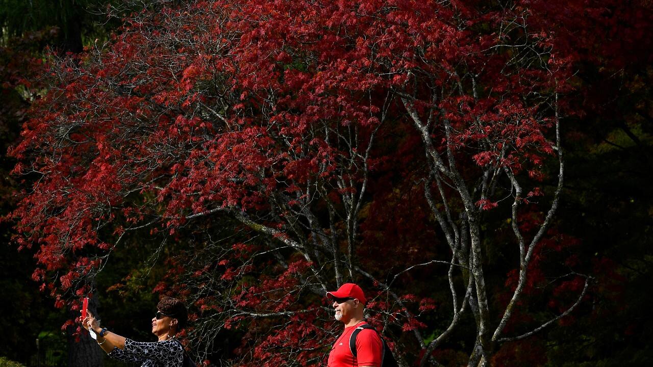 Autumn show: Spectacular fall colours from around the world ...