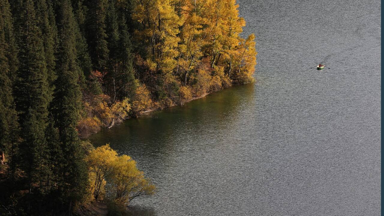 Autumn show: Spectacular fall colours from around the world ...